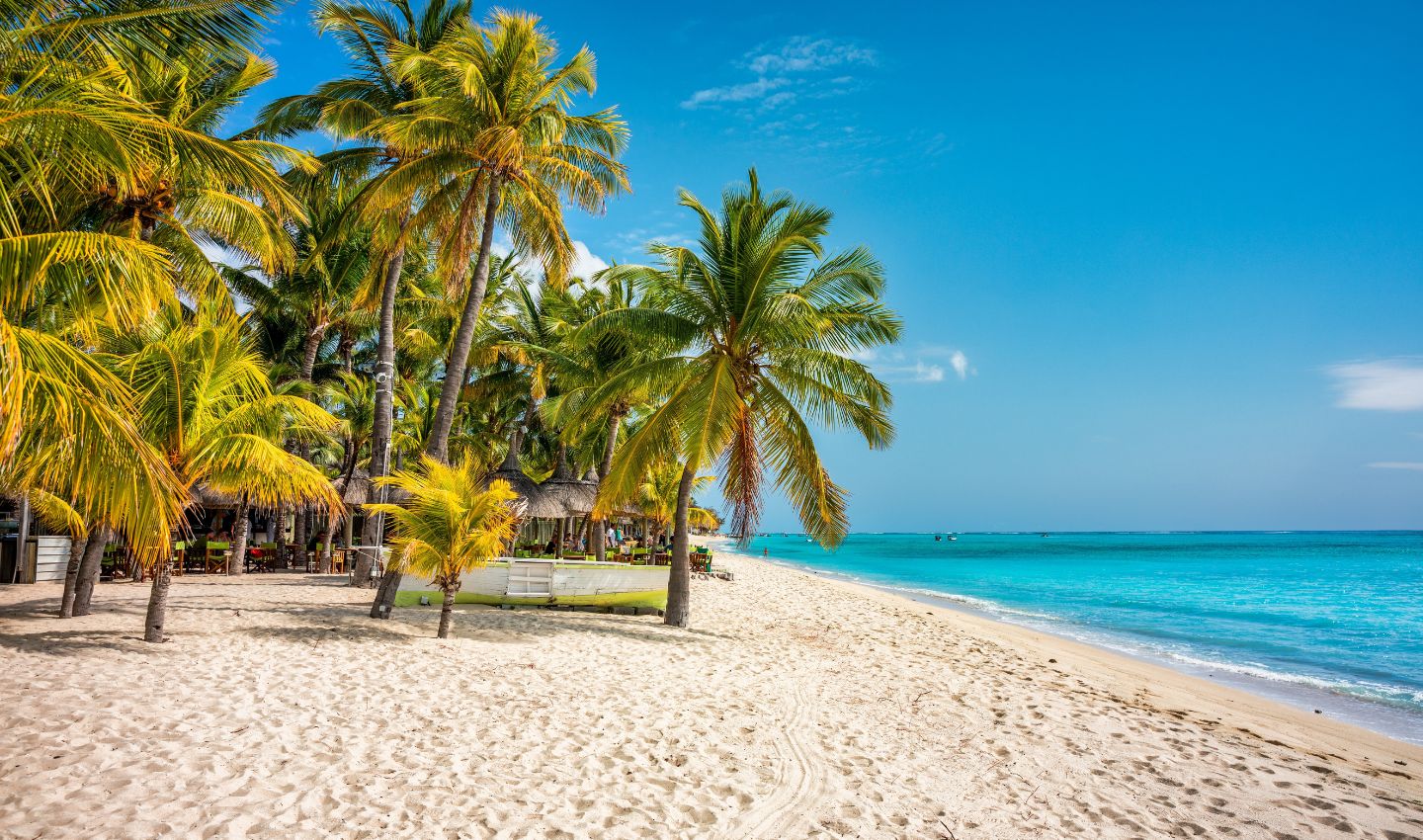 Die Top 5 Reiseziele für 2025